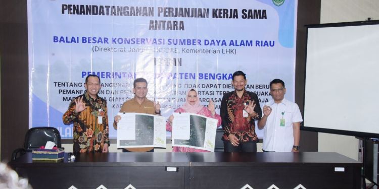 Bupati Bengkalis Kasmarni Resmikan Pembangunan RSU Mutiasari di Mandau ...